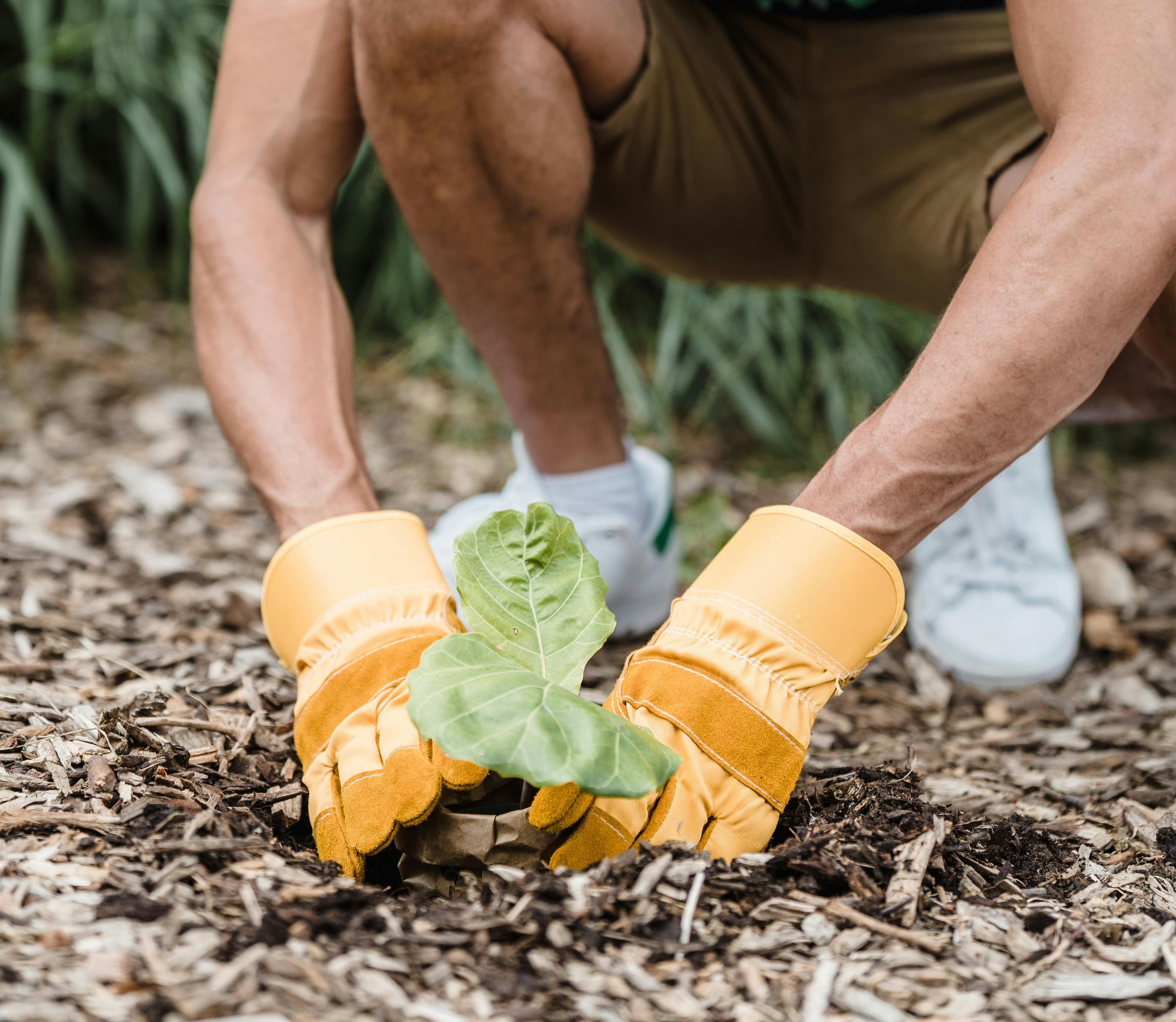 AU Summative Project 1: What can WE do?